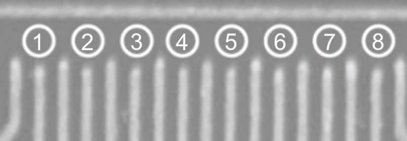 Happy Easter: looking for Quantum Eggs - QuTech Blog